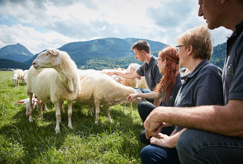 Eisl Eis Salon | Tourismusverband Salzburger Altstadt